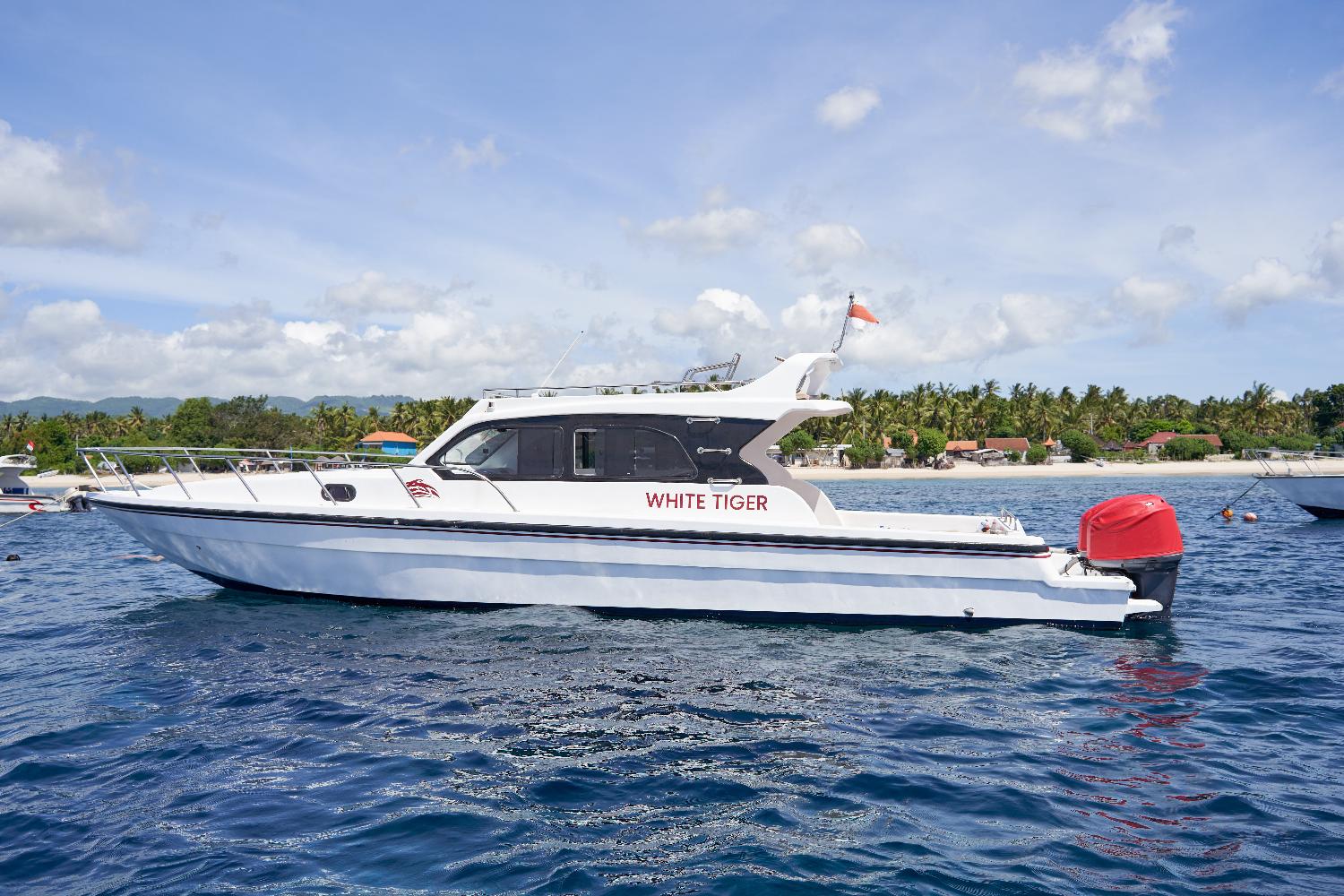 White Tiger Private Boat from Nusa Dua | Ticketboat.id